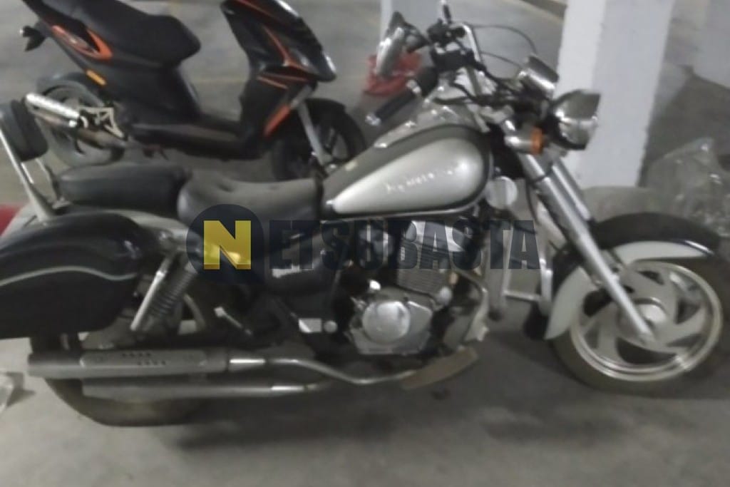 Subasta de Zentaurus Raider 250 2007